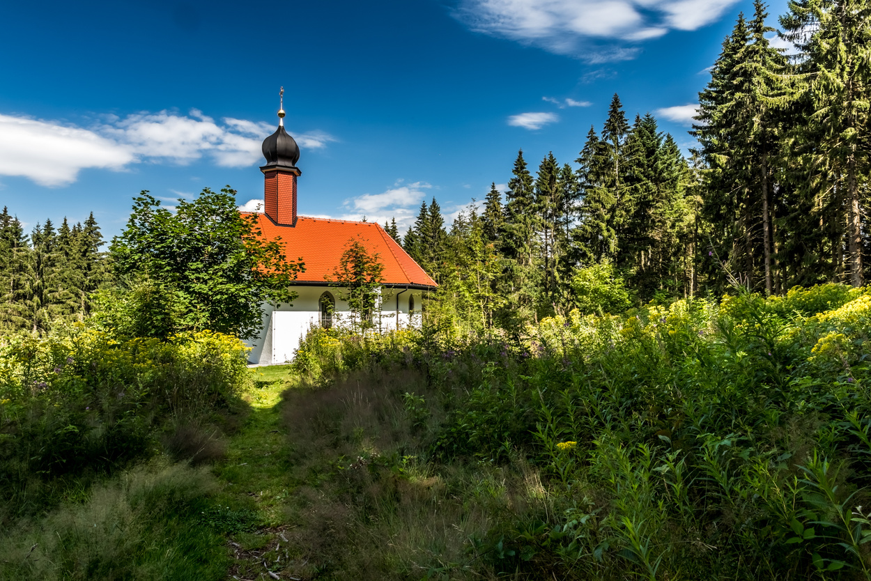 Veranstaltungen im Hotzenwald im Schwarzwald
