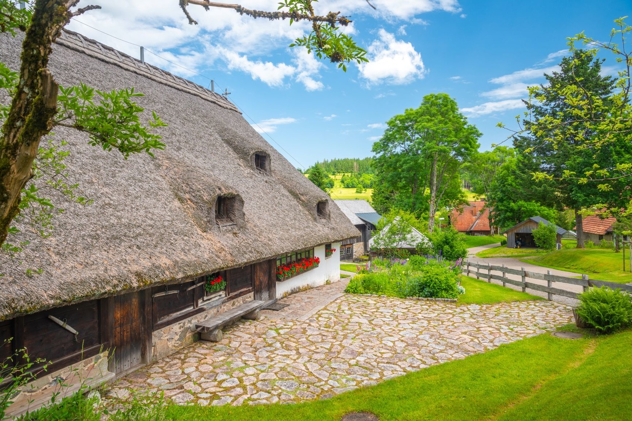 Veranstaltungen im Hotzenwald im Schwarzwald